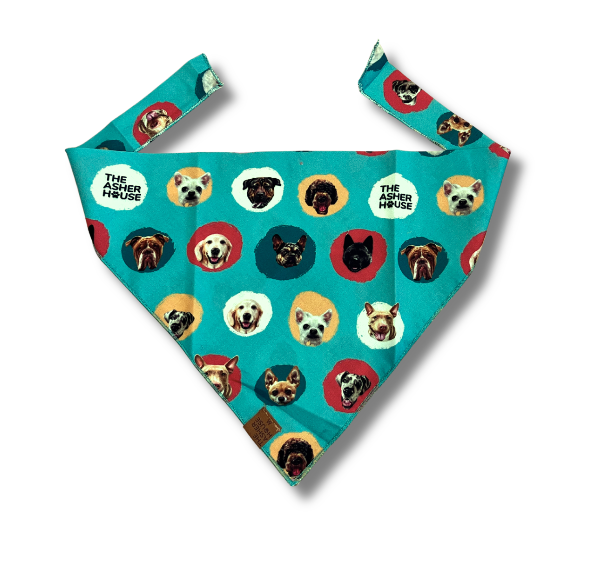 NEW! Pet Bandana – The Asher House