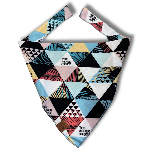 Pet Bandana – The Asher House