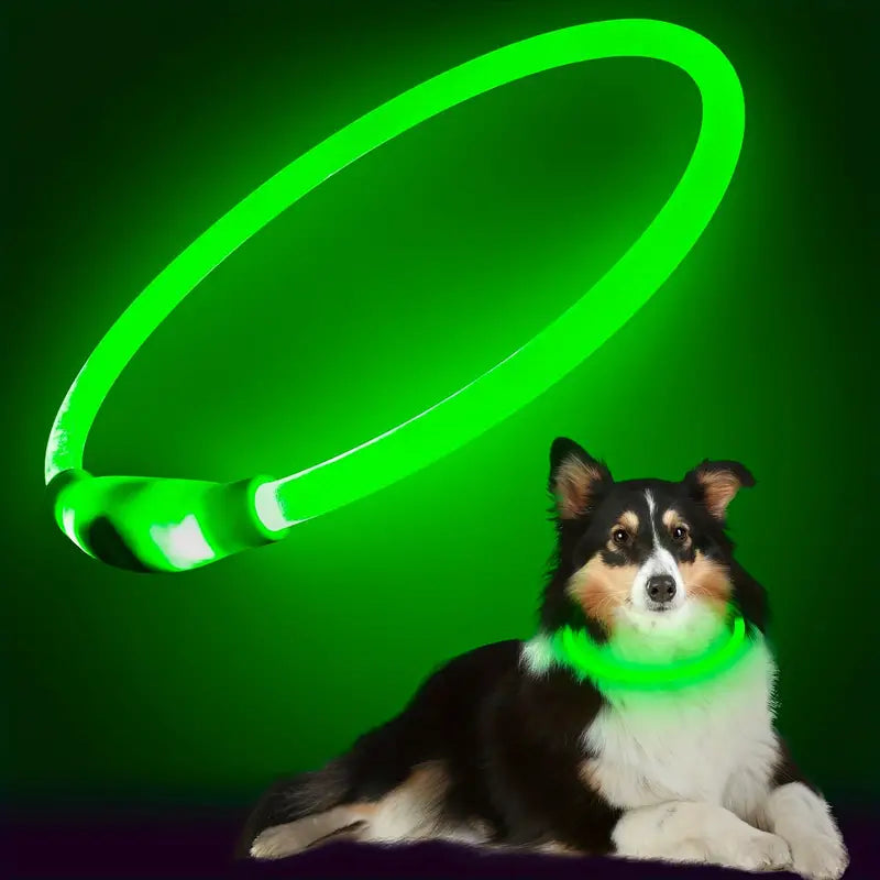 Rechargeable LED Dog Collar – The Asher House