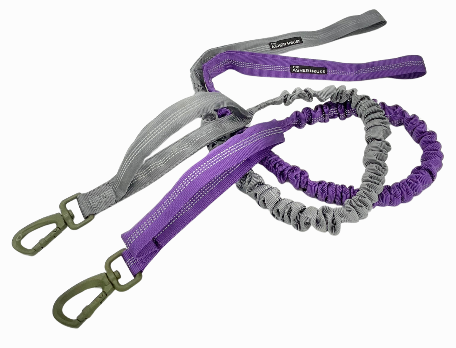 Bungee Dog Leash – The Asher House