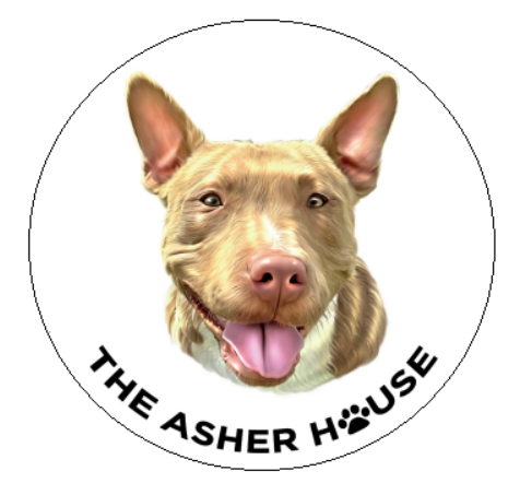The Asher House – The Asher House