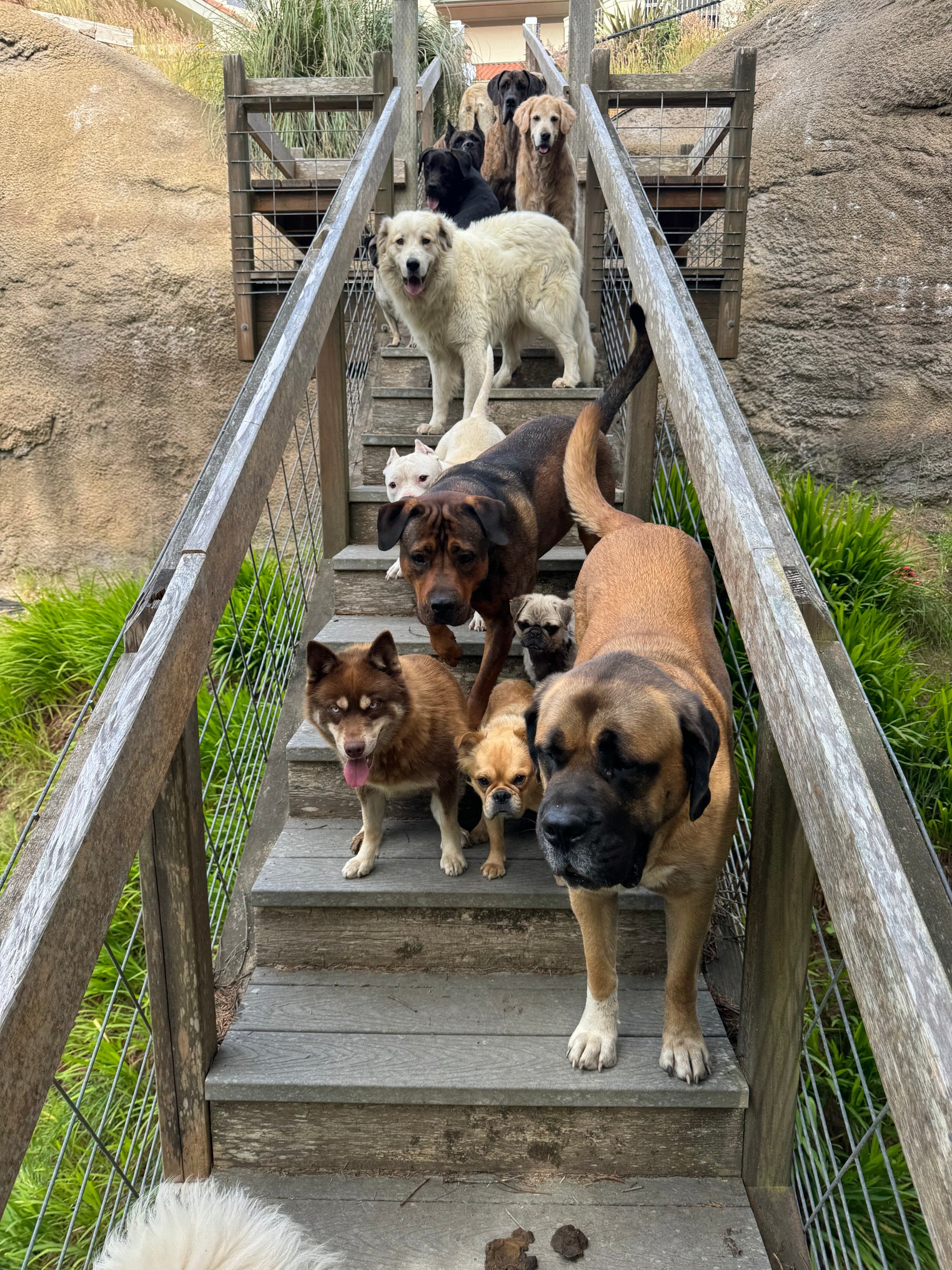 Corporate Sponsorships – The Asher House