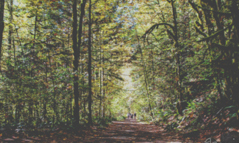 Meet the Pack – The Asher House