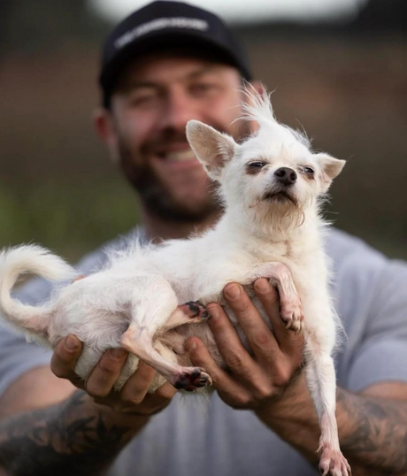 The Asher House – The Asher House