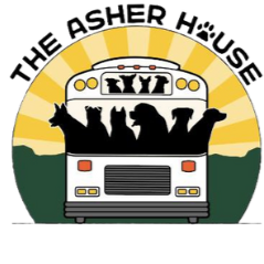 Meet the Pack – The Asher House