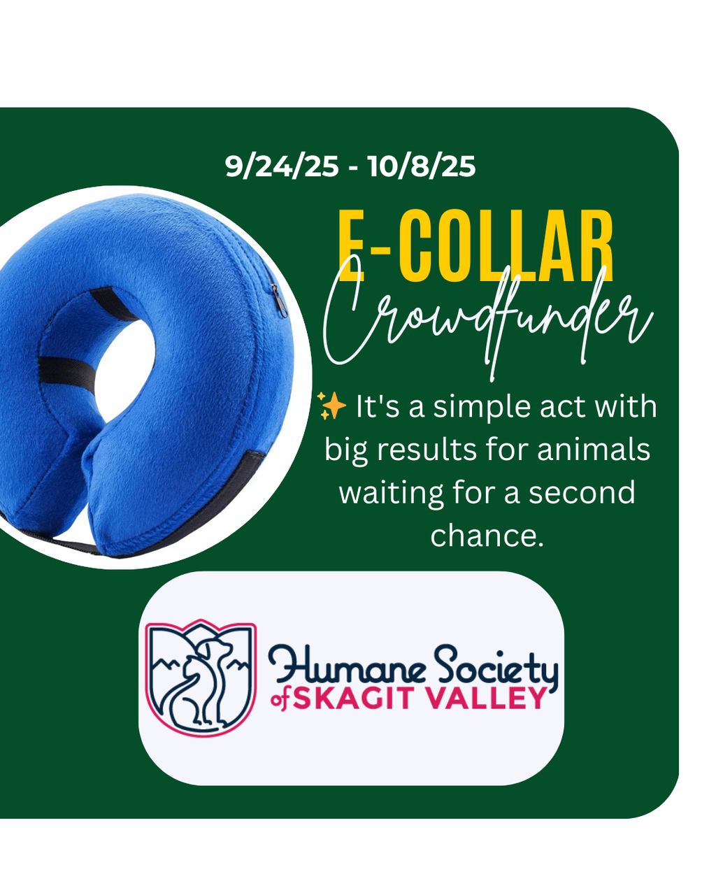 The Asher House – The Asher House