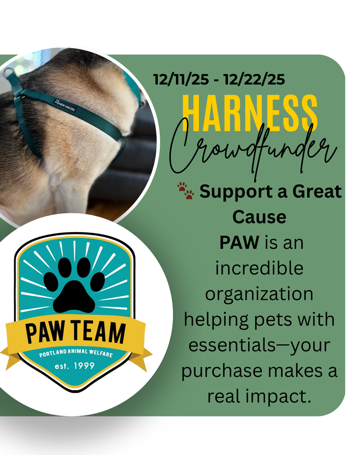 The Asher House – The Asher House