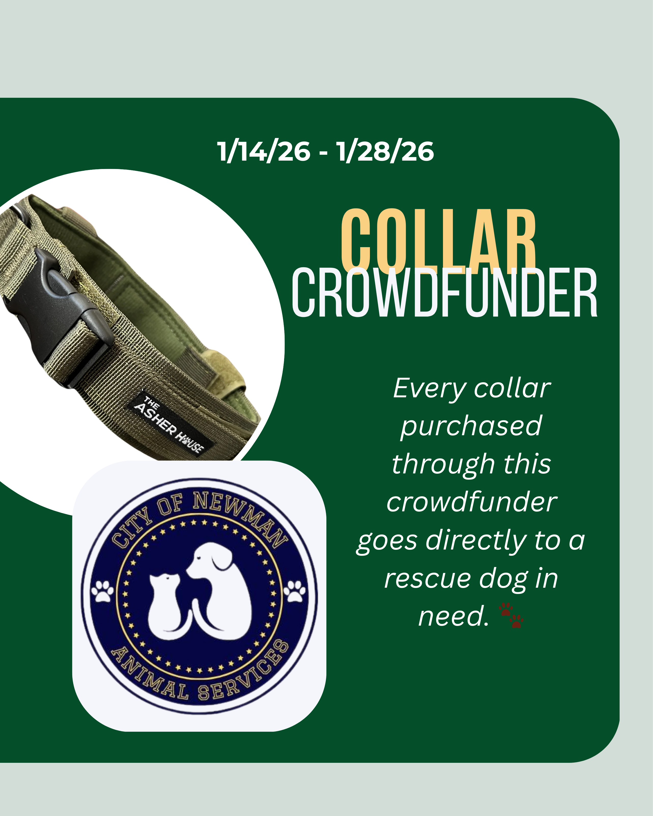 Buy A Collar for Newman Animal Services – The Asher House