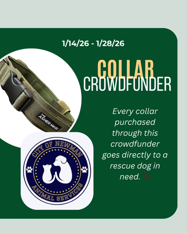 Buy A Collar for Newman Animal Services – The Asher House