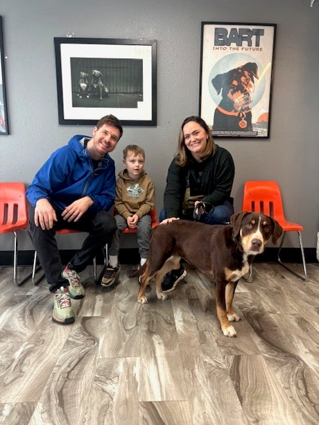 Adopted images – The Asher House