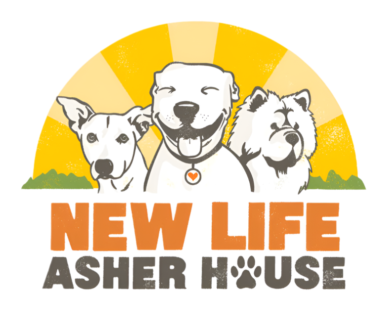 Adoption Application – The Asher House