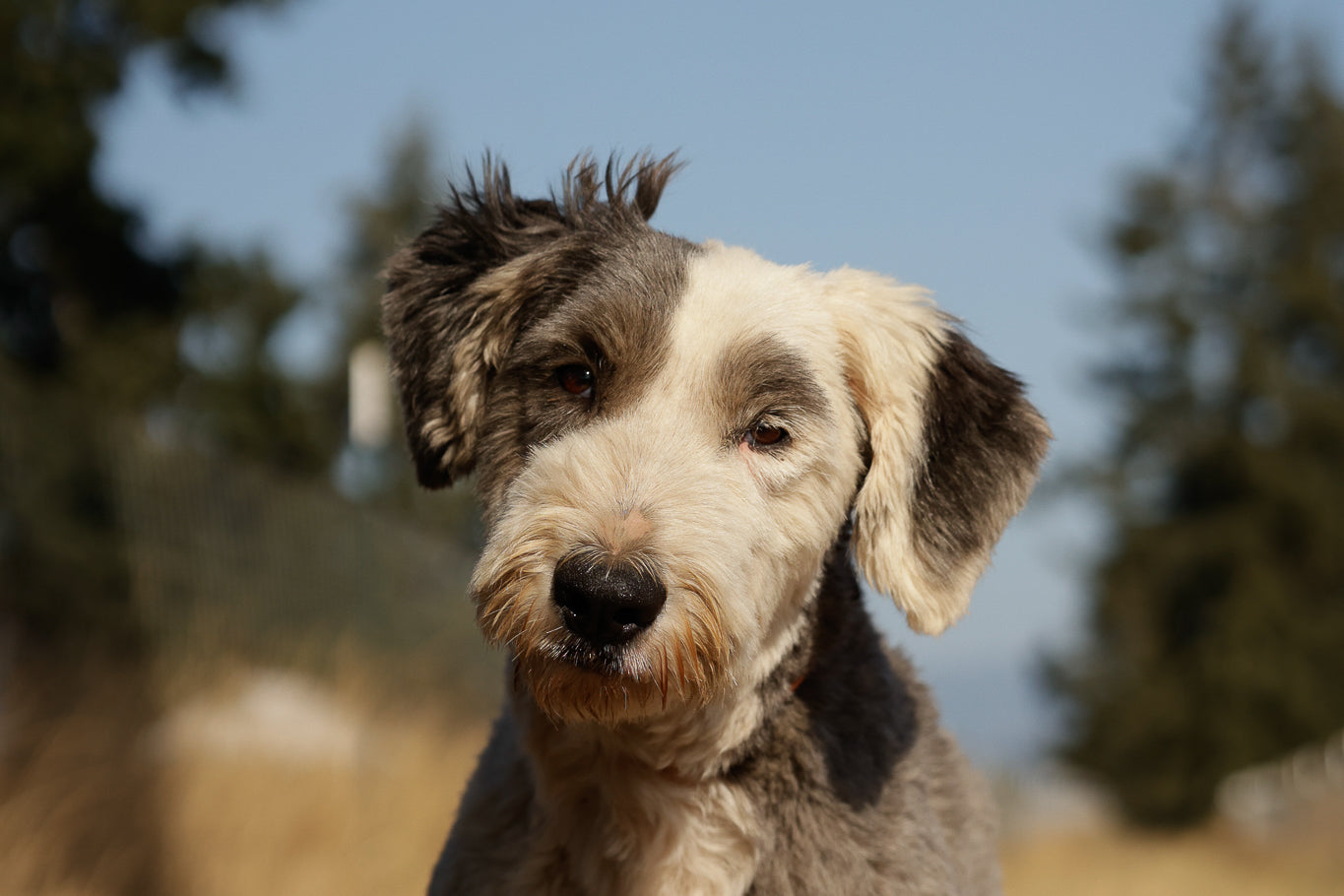 New Life Asher House – The Asher House