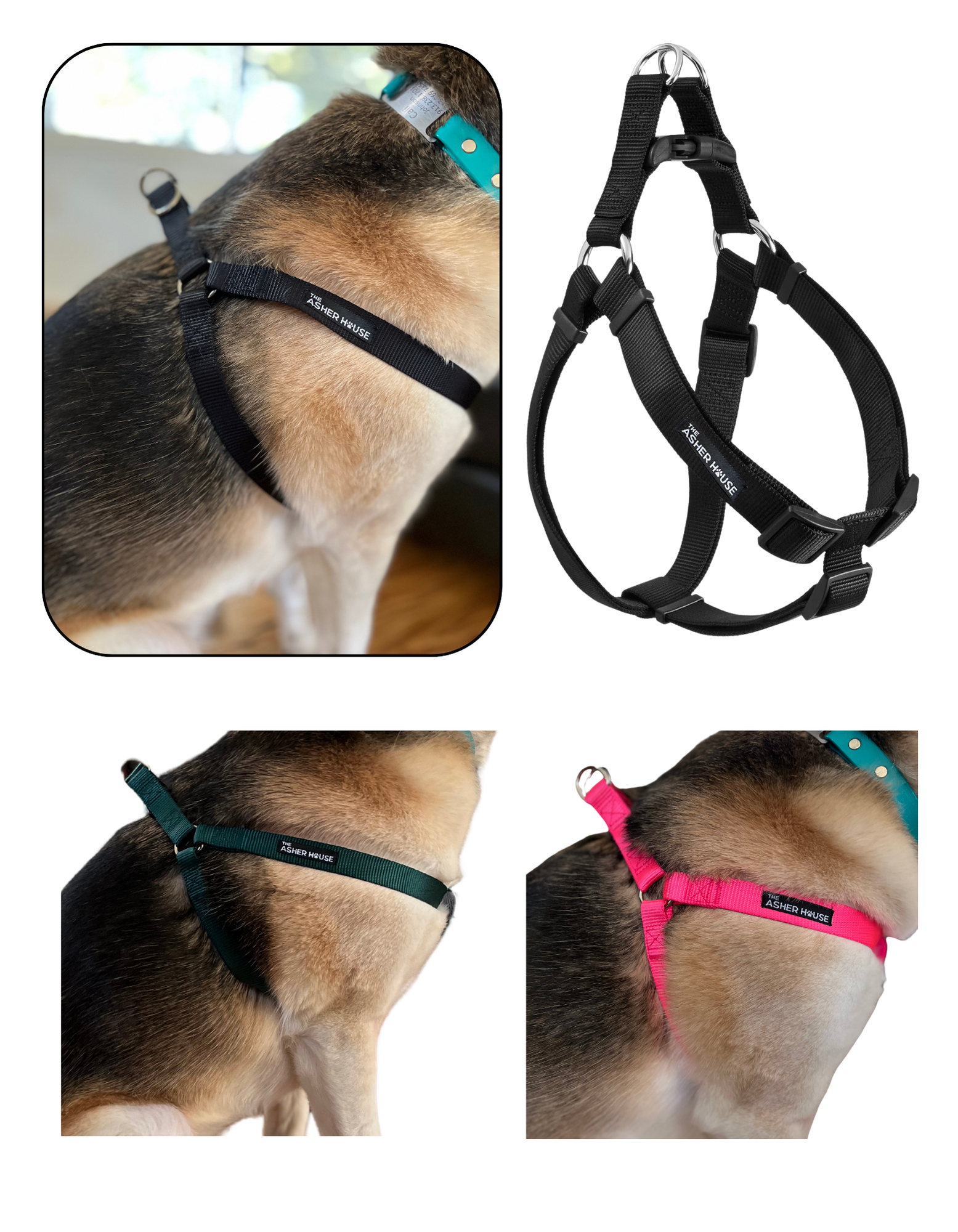Dog Harness – The Asher House