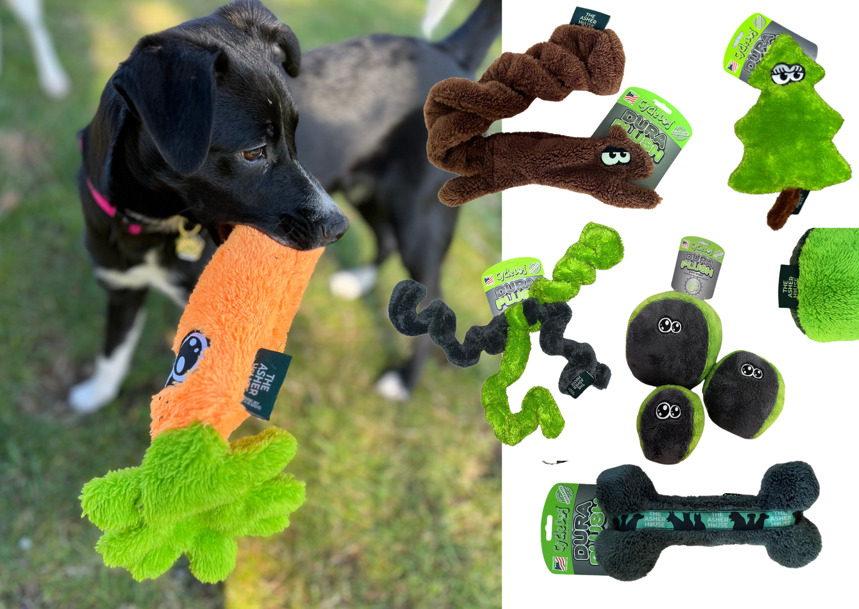 Duraplush Toys by Cycle Dog – The Asher House