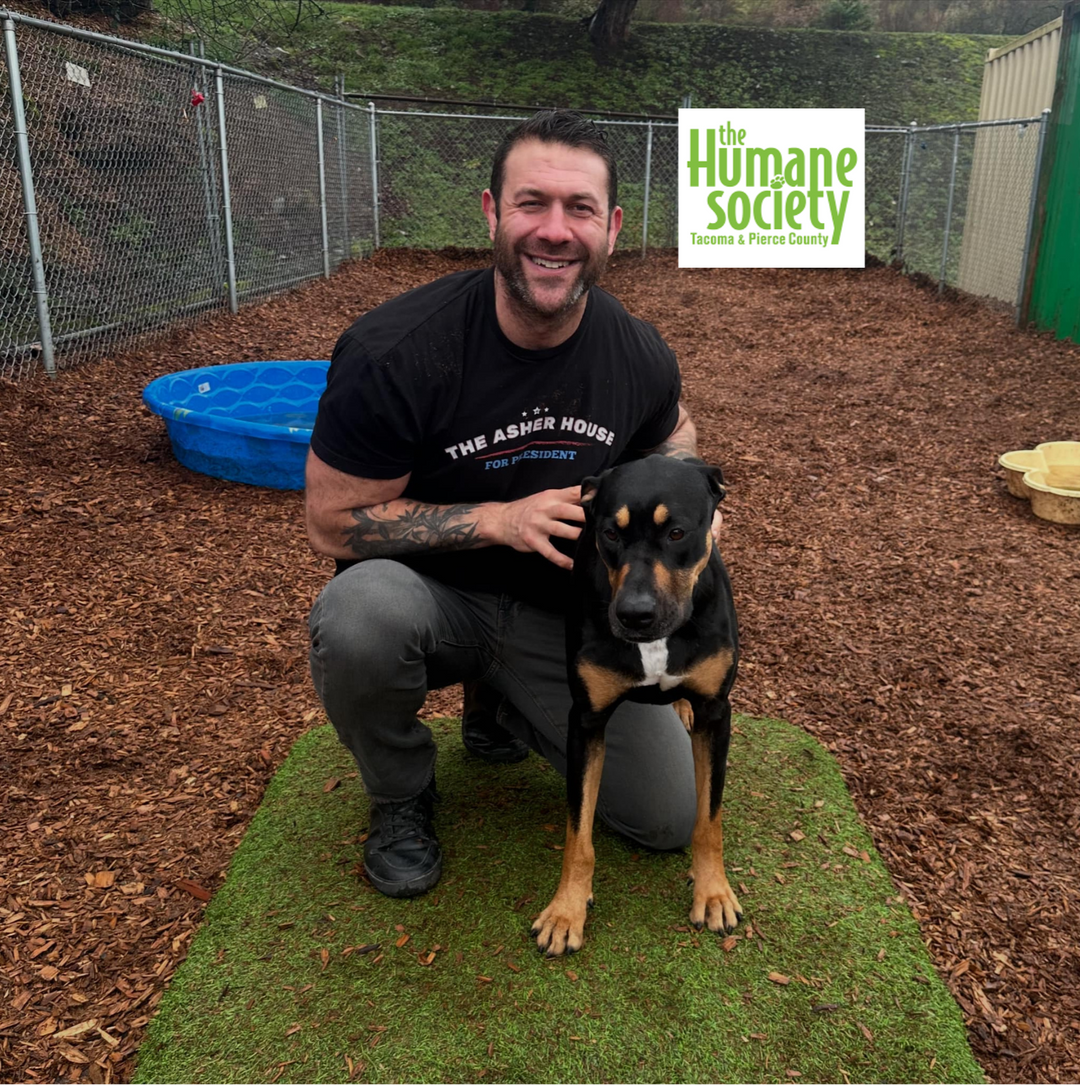 The Asher House – The Asher House